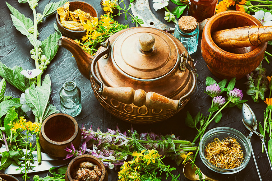Developing Your Herbal Intuition